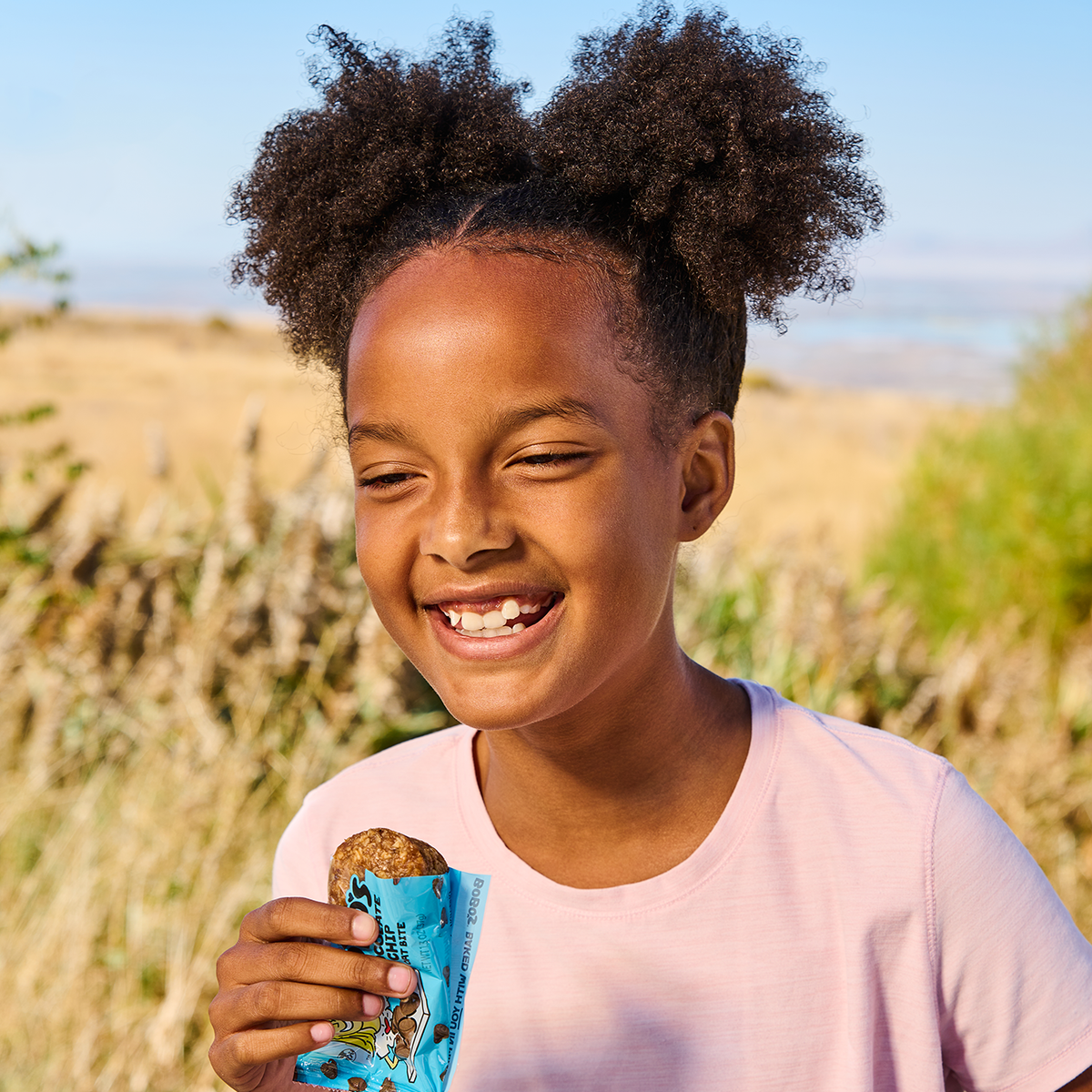 Best Snack Bars For Toddlers And Kids – Bobo's